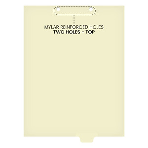 Individual Chart Divider Sheets Used to Build Chart Divider Sets for Medical Practices, 1/6th Cut, Tabs on Bottom, Position: #5, Blank (Pack of 100)