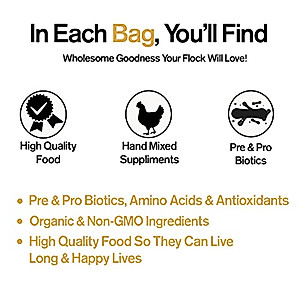 Fowl Treats Naturally Fortified Treats – Protein Rich Supplement Suitable for Chickens, Hens and Ducks, Hand Mixed with USA Grown Ingredients – Equinox Blend – 32oz