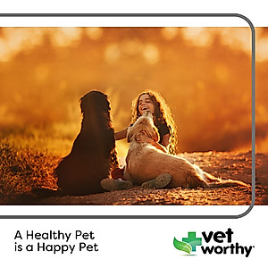 Vet Worthy Calming Aid Dog Soft Chew - Flavored Chewable Treats for Dogs to Manage Normal Stress - Dog Calming Chews for Storm Anxiety, Grooming, and Fireworks - Poultry Flavored, 45-Count