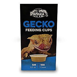 Pangea Small Gecko Food & Water Cups 100 ct