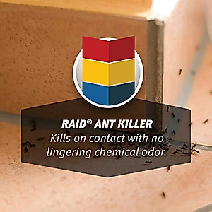 Raid Ant Killer Spray Pine Forest, 17.5 OZ (Pack - 1)