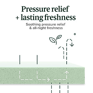 ZINUS 10 Inch Green Tea Memory Foam Mattress, Queen, Fiberglass Free, Patented Custom Contour Support, Sturdy Base Foam, CertiPUR-US Certified, Mattress in A Box, White