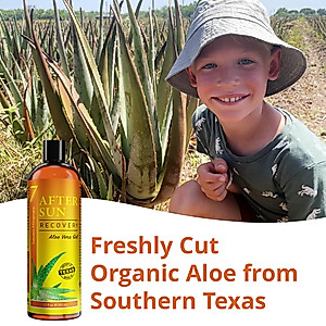 Seven Minerals NEW Recovery After Sun Gel with Aloe Vera - For Skin with Instant Sunburn Relief. Unlike Regular Aftersun Lotion, Ours Is Made From Texas Aloe. With Mango & Chamomile (12 Fl Oz)