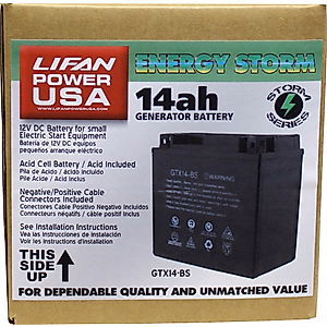 Lifan Energy Storm Acid Cell Starter Battery 12V 15 Amp