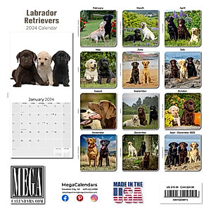 2023 2024 Labrador Retriever Calendar Mixed - Dog Breed Monthly Wall Calendar - 12 x 24 Open - Thick No-Bleed Paper - Giftable - Academic Teacher's Planner Calendar Organizing & Planning - Made in USA