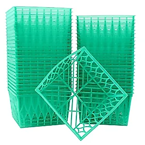 Cornucopia Pint Size Plastic Berry Baskets (48-Pack), 4-Inch Berry Boxes with Open-Weave Pattern, Ideal for Summer Picking & Crafts! (48 Boxes)