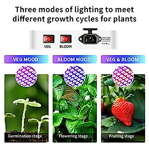 LUYIMIN Upgraded 1000W LED Grow Lights with Dual Switch, Double Chips Full Spectrum Plant Light, Grow Lights for Indoor Hydroponic Plants Veg Flower Growing Lamps