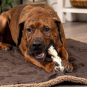 Pet Factory American Beefhide 6" Braided Sticks Dog Chew Treats - Natural Flavor, 14 Count/1 Pack