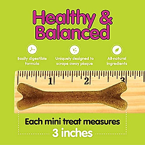 Fido Belly Bones for Dogs, Yogurt Flavored Mini Dog Dental Treats - 21 Treats Per Pack (3 Pack) - for Small Dogs (Made in USA) - Plaque and Tartar Control for Fresh Breath, Digestive Health Support