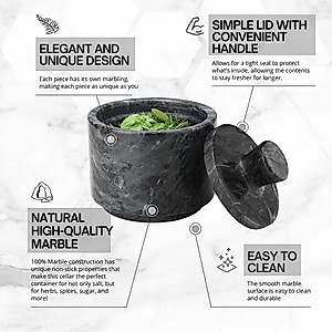 Flexzion Marble Salt Cellar with Lid, Multi-Purpose Marble Container for Salt, Pepper, Paprika and Powdered Herbs, Marble Box for Jewelry, Watches and Accessories (Black)