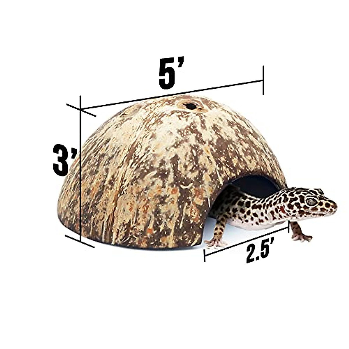 Mr.Peter 2 Pcs. Natural Coconut Shells for Reptile Safe Hideout, Hermit Crabs Hut, Lizard Shell Hut, Spider, Gecko Hids, Snake Hides, Large Aquarium Cave, Betta Fish Hide Cave, Leopard Gecko Tank