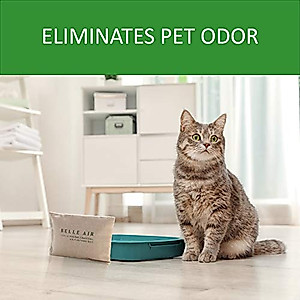 Belle Air 100% Activated Charcoal Air Purifying Bags Odor Absorber | 6x More Effective Than Bamboo Charcoal | Safely Removes Odors, Toxins, and Excess Moisture for Homes, Cars, Fridges, etc.