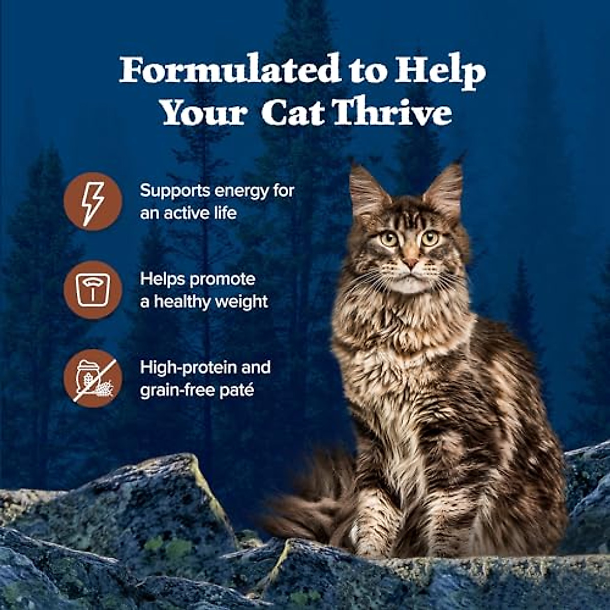 Blue Buffalo Wilderness Natural High-Protein Grain-Free Wet Food for Adult Cats, Turkey Paté, 5.5-oz. Cans, 24 Count