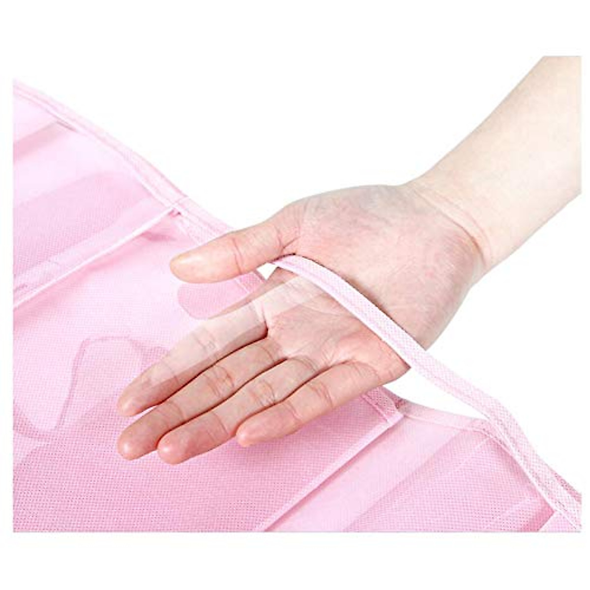 StrCloud 6 Pocket Hanging Handbag Organizer for Wardrobe Closet Transparent Storage Bag Door Wall Clear Sundry Shoe Bag with Hanger Pouch (Blue)