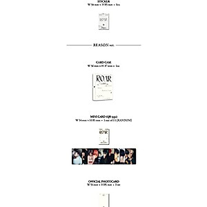 THE BOYZ BE AWAKE ROAR 8th Mini Album Platform Version Card case+Mini QR type card+Official photocard+Selfie photocard+Sticker+Tracking Sealed (SET(REACH+REALIZE+REASON))