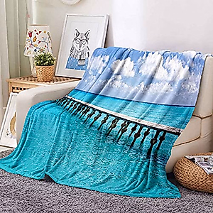 NARBOR Soft Fleece Throw Blanket - Fluffy Microfiber Solid Blankets for Bed and Couch Double/Single Size - 59X79Inch Wooden Bridge Sea Scenery Printed Flannel Blanket for Bed, Couch and Sofa