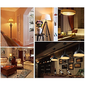 OMAYKEY 12W Dimmable Large LED Globe Bulb 85W Equivalent 850 Lumens, 2700K Warm White E26 Medium Base, Vintage Edison G125 Large Globe Milky Glass LED Filament Light Bulb, Deep Dimming Version