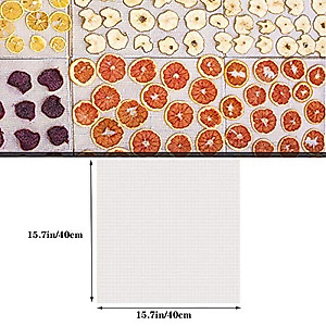 5 Pieces Square Silicone Dehydrator Sheets,15.7" x 15.7" Non-stick Fruit Dehydrator Mats,Reusable Steamer Mesh Mat Baking Mats for Fruit Dryer