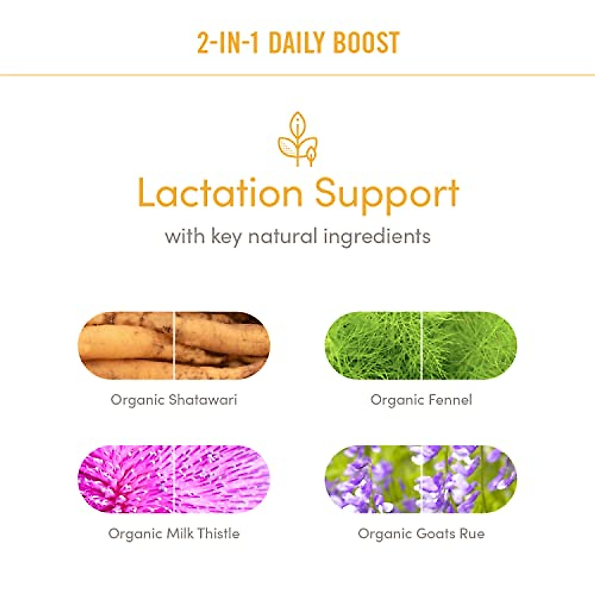 Munchkin® Milkmakers® Daily Boost 2-in-1 Lactation Supplements for Breastfeeding, Nursing & Pumping Moms - Fenugreek Free, 60 Capsules