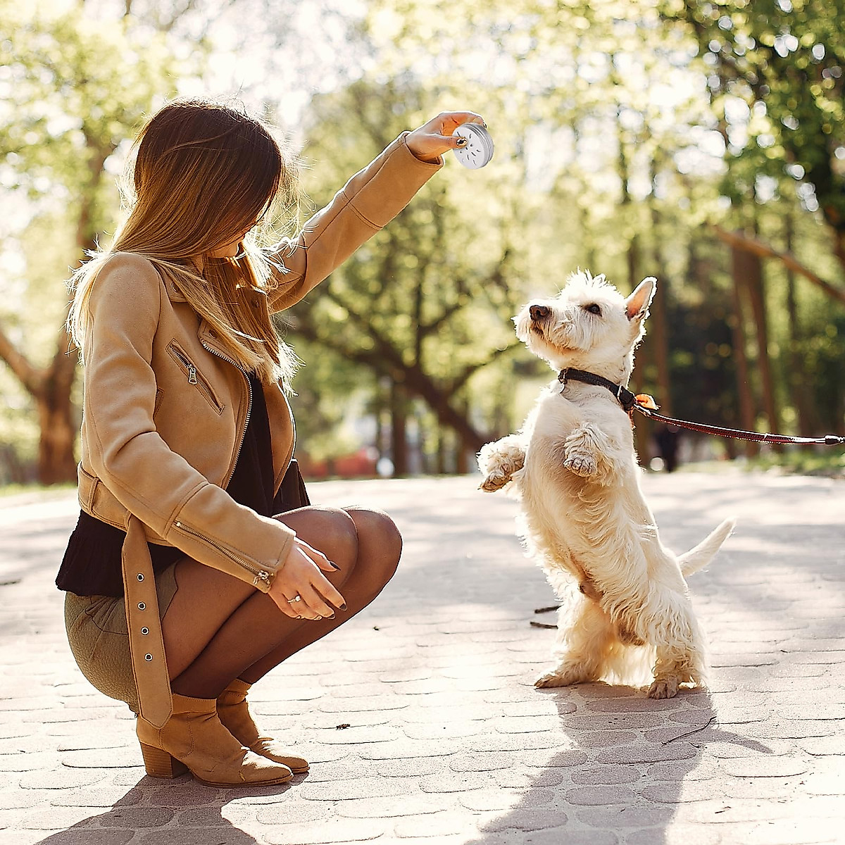 Mozeat Lens 6 Pcs Scent Training for Dogs Scent Work for Dogs Dog Scent Training Equipment Box Dog Nose Metal Container Smell Aluminum Cans Nosework Tins Scent Work Container