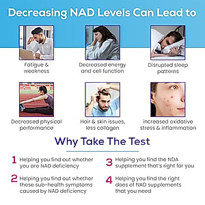 Jinfiniti-Intracellular NAD Test -Measure Your NAD Level- Accurate Results from a CLIA Certified Lab