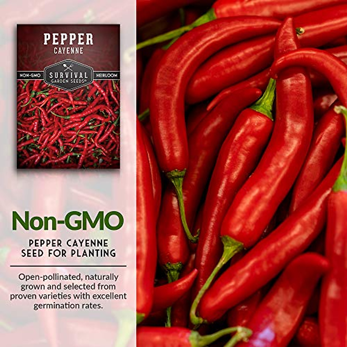 Survival Garden Seeds - Red Cayenne Pepper Seed for Planting - Packet with Instructions to Plant and Grow Hot Chili Peppers in Your Home Vegetable Garden - Non-GMO Heirloom Variety - Single Pack