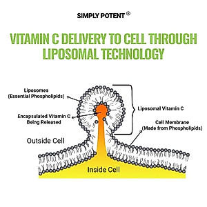 Liposomal Vitamin C 1200mg, 180 Capsules, Ascorbic Acid VIT C, High Dose Enhanced Absorption Fat Soluble Vitamin C, Powerful Antioxidant Supplement for Immune Support, Collagen, Heart & Brain Health