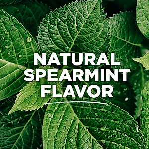 Tom's of Maine Naturally Waxed Antiplaque Flat Dental Floss, Spearmint, 32 Yards