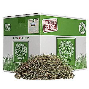 Small Pet Select 3rd Cutting "Super Soft" Timothy Hay Pet Food, 20 Lb.