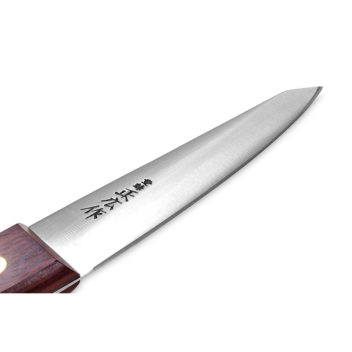 Seki Japan Masahiro Japanese Professional Boning Knife Round Type, 150 mm (5.9 inch), Japanese Carbon Steel Kitchen Cutlery, Chef Knives with Rose Wood Handle for Home Kitchen & Restaurant