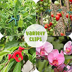 RSZBUMY 80pcs Mixed Plant Clips Variety for Tomato, Climbing Plants Support, Garden Clips for Tomato ect, Plant Training Clips, Orchid Clips