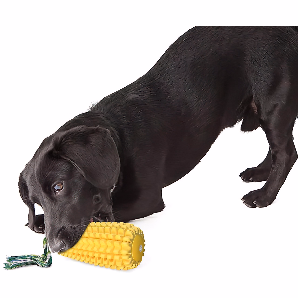 Generic Dog Chew Toys for Aggressive Chewers – 2 Pcs Set Indestructible Tough Durable Squeaky Interactive Dog Corn Stick Toys for Small Medium Large Pet Super Fun Puppy Teeth Chew, Yellow