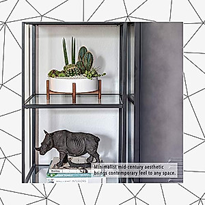 kimisty 10 Inch Succulent Planter, Large Round Bowl with Drainage, Mid Century White Ceramic Pot with Wood Stand, Succulent Garden Shallow Pot, Tabletop Centrepiece, Includes Gift Pack