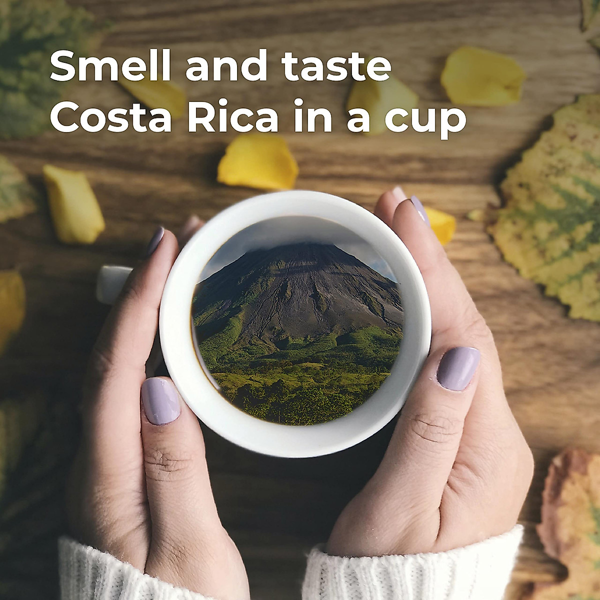 Coffee from Costa Rica Medium Roast Ground - 1 bag (12oz) - 100% Fresh Arabica Beans - by Liquid Gold - Local Athentic Sourced Coffee from Costa Rican Farmers