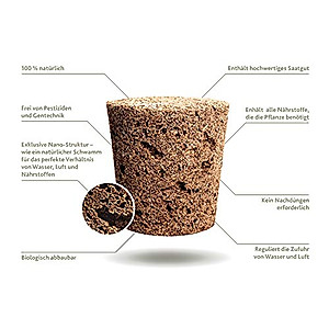 Click and Grow Smart Garden Arugula Plant Pods, 3-Pack