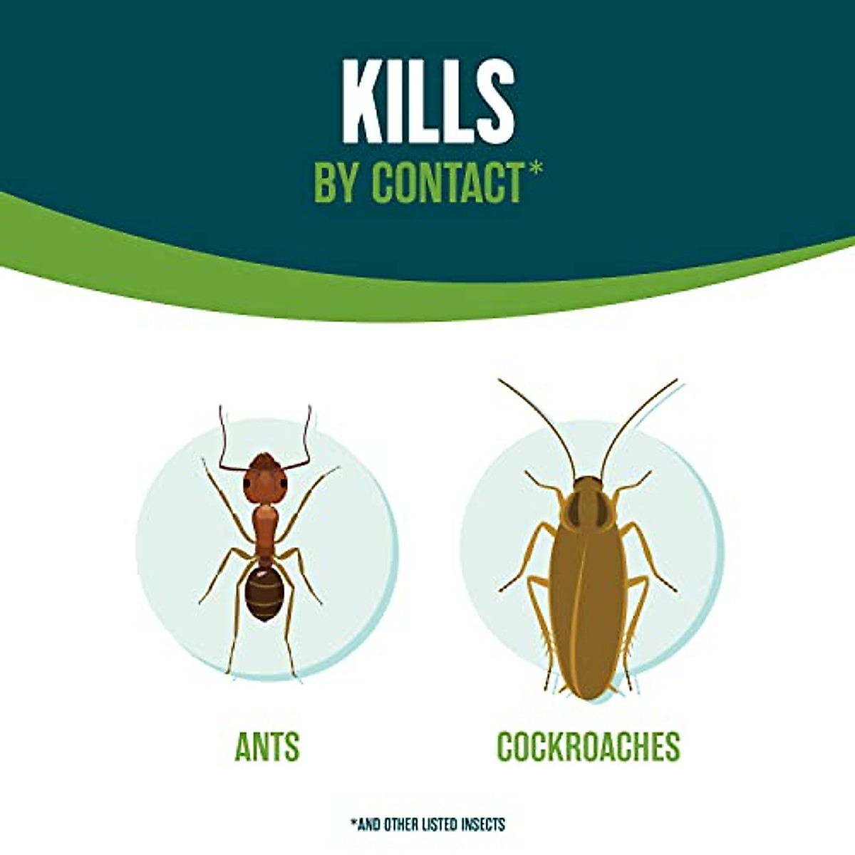 Ecologic Eco-Logic Ant & Roach Killer, Pack of 12
