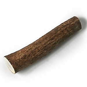 Ranch Rewards ELK Antler Dog Dental Chews Natural Way to Clean Your Dog's Teeth Bulk Too!(Small - 4" to 5" 3 Antlers)