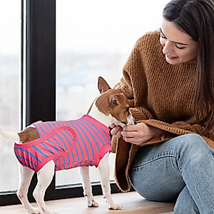 Dog Surgery Recovery Suit, Recovery Shirt for Male Female Dog Cats, Cone E-Collar Alternative Abdominal Wounds Spay Bandages Onesie, Anti-Licking Pet Surgical Recovery Snugly Suit,Pink Small