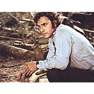 Payday Rip Torn 1973 Photo Print (28 x 22)