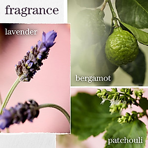 Pureology Hydrate Sheer Nourishing Shampoo | For Fine, Dry Color Treated Hair | Sulfate-Free | Silicone-Free | Vegan