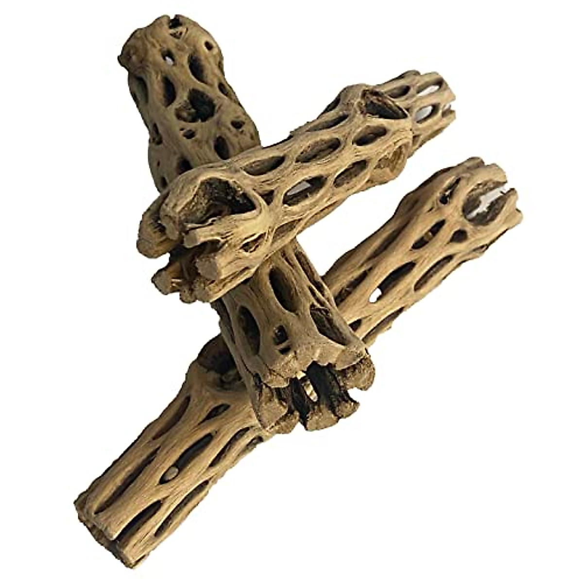 Awesome Aquatic Natural Cholla/Choya Wood 3 Pieces 6” for Shrimp Habitat and Food Treat Hermit Crabs Plecos Aquarium Decoration Lowers pH Hideouts and Chew Toys Reptiles Thorn Free Dried Organic