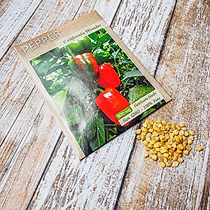 Sweet Pepper Seeds (Organic) - California Wonder - 1/4 Pound - Vegetable Seeds, Heirloom Seed, Organic Seed Easy to Grow & Maintain, Container Garden