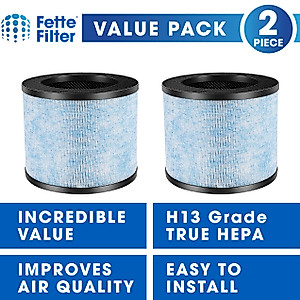 Fette Filter - F100 H13 Premium True HEPA Replacement Filter, Compatible with Instant AP100 Air Purifier, 3-in-1 H13 Grade True HEPA Filter, Part # F100, 2-Pack