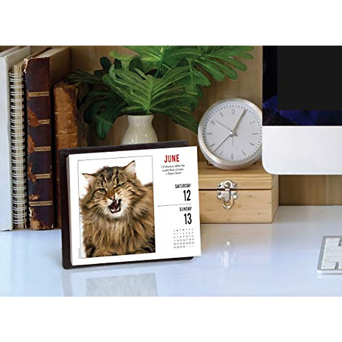 Bad Kitties 2021 Box Calendar