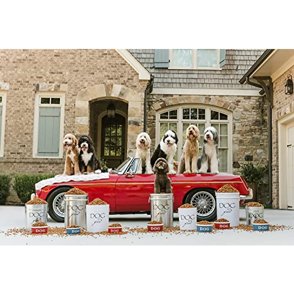 Harry Barker White Classic Food Storage Canister For Dogs, Large 40 Pounds of Food