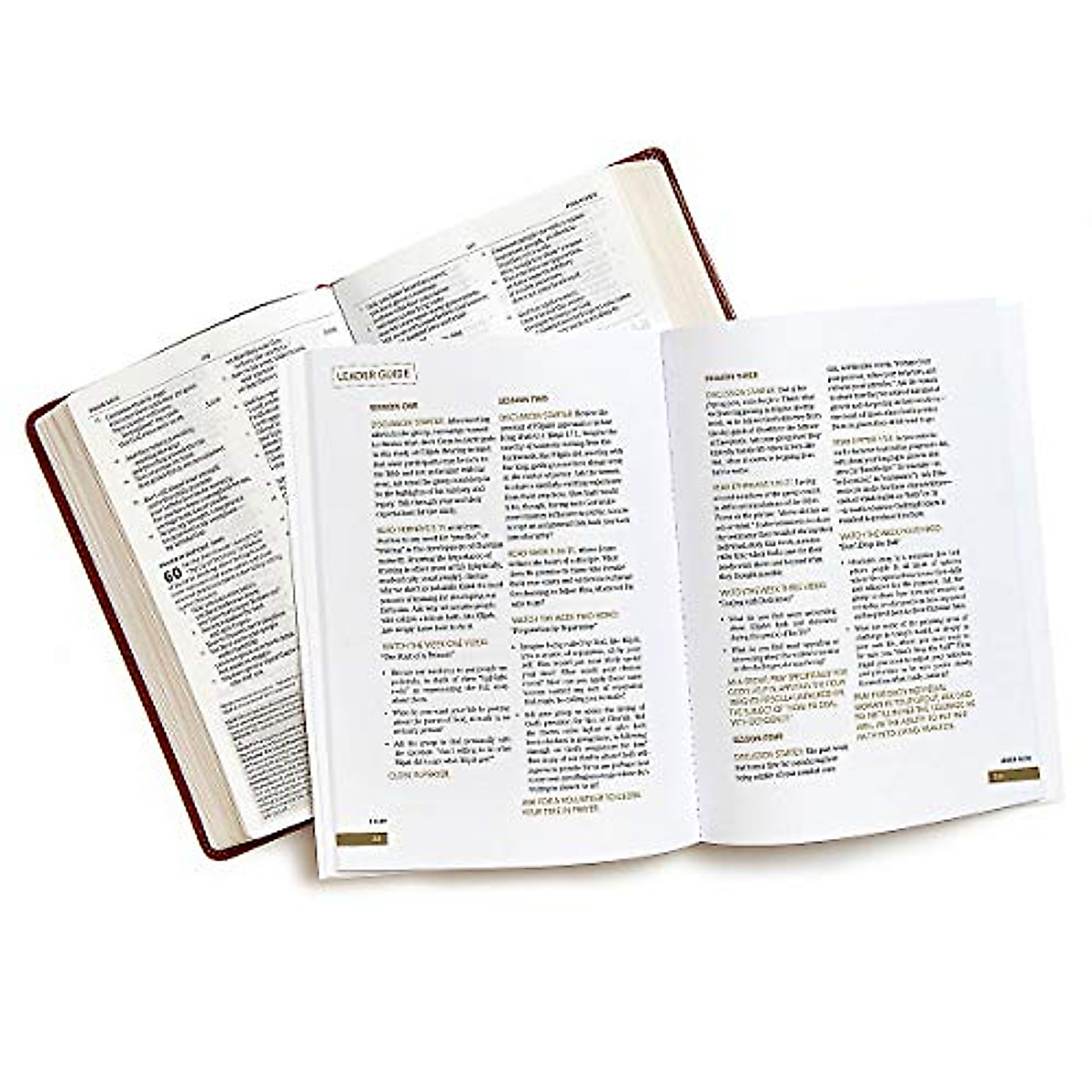 Elijah: Faith and Fire - Bible Study Book