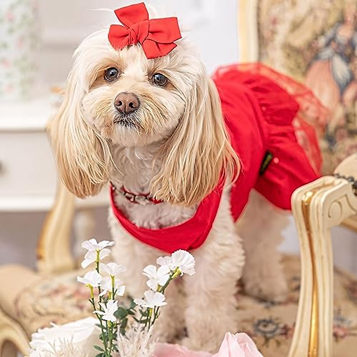Fitwarm 2-Pack Dog XOXO Tulle Dress, 100% Cotton Dog Clothes for Small Dogs Girl, Cat Apparel, Red, XS