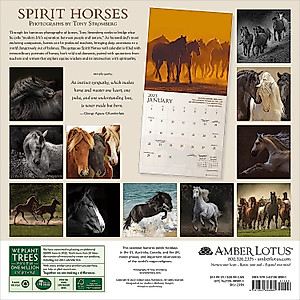 Spirit Horses 2023 Wall Calendar by Tony Stromberg | 12" x 24" Open | Amber Lotus Publishing