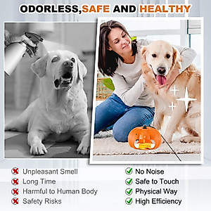 Qualirey 4 Pieces Flea Traps with 8 Sticky Disc 12 Bulbs 4 Electric Wires Pumpkin Flea Traps for Inside Your Home Safe Flea Light Trap for Indoor Safe to Pets