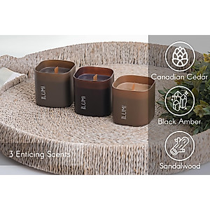 Set of 3 Scented Soy Candles Gift Set | Fall Collection | 3 Scented Candles - Canadian Cedar, Black Amber, and Sandalwood | Crackling Wood Wick | Clean Burn | 50+HR Burn Time, 9.8oz Each